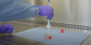 EQUASHIELD's Vial Adaptor | Contamination Free Vial Access